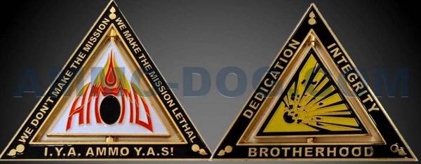 AMMO TRIANGLE SPINNER COIN