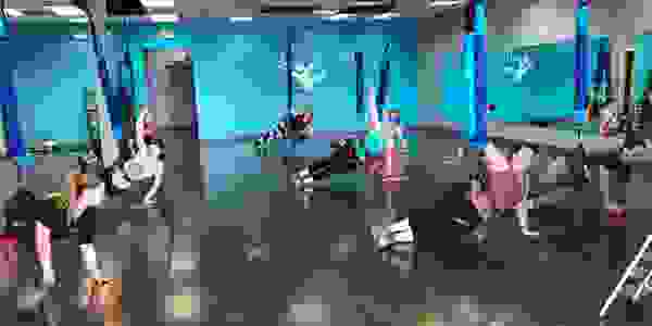 Bungee Fitness - Fly to Fit Bungee Fitness | Fly to Fit Bungee Fitness