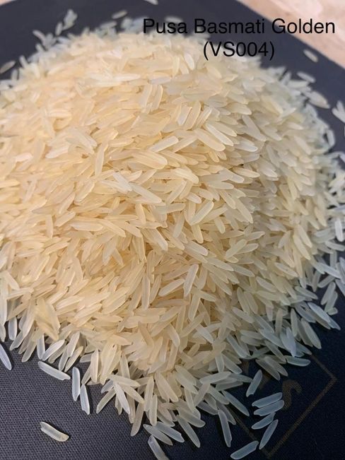 Pusa Basmati Rice | VERTICAL SUPPORTS