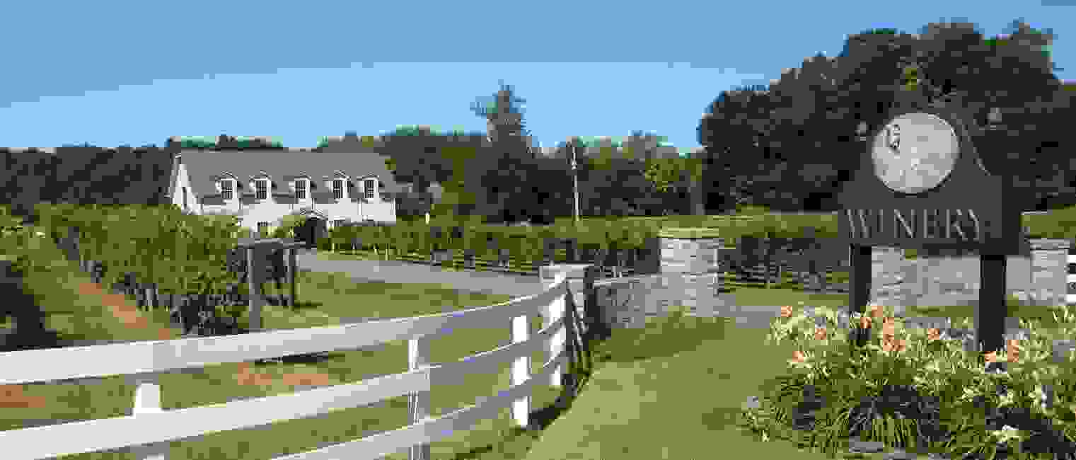 Gray Ghost Vineyards - Wine, Winery, Wine Tasting, Vineyard