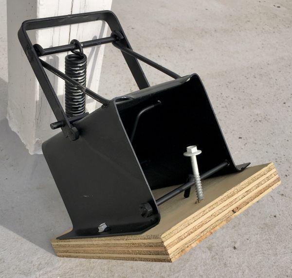 SA2 TRAP by Steve Allan. Feral Cats, Possums.