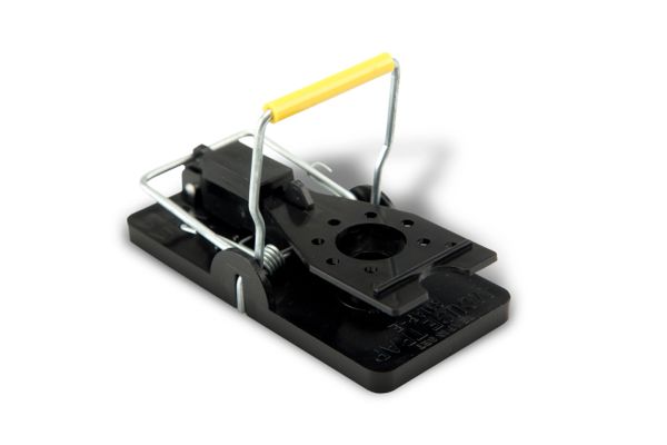 Kness Snap-E Mouse Trap--SALE!