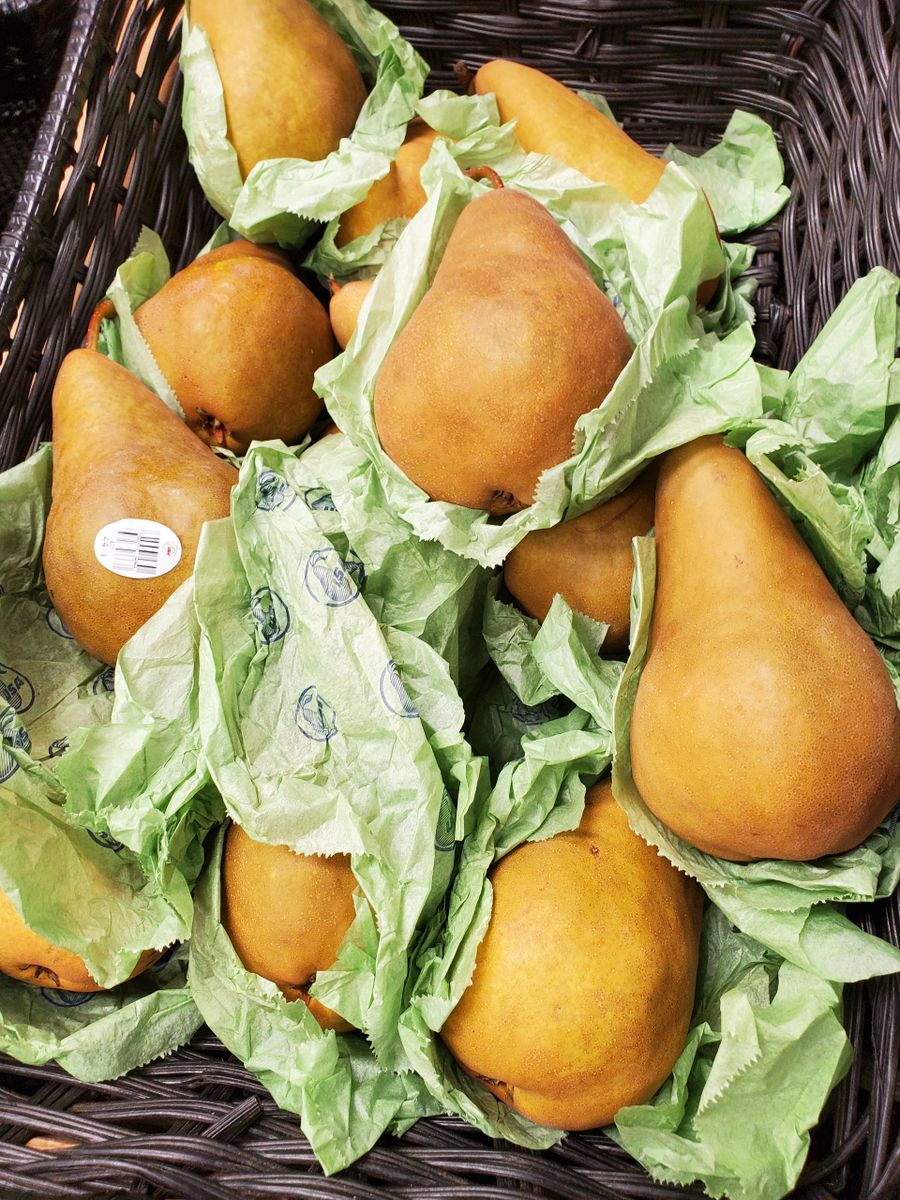 Bosc Pears