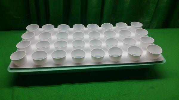 CV Tray Topper (style PS) for use with Green or Tan Permanest Trays