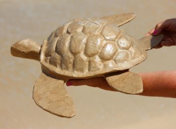 Adult Turtle | Casket and Monument Centers