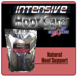 Intensive Hoof Care