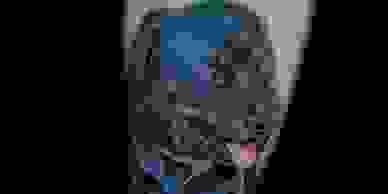 InvidiaTattoo - Tattoos and Piercings - Asheville, North Carolina