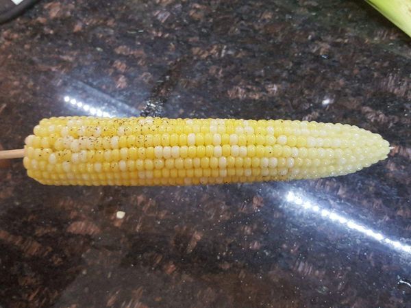 Papa's Sweet Corn CSA Share