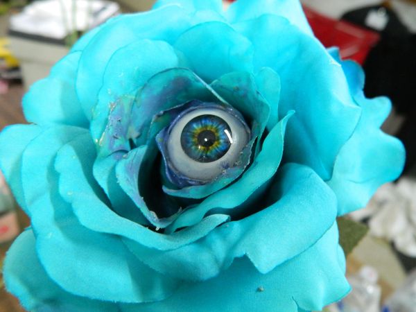 Freaky Flowers - Long Stem Eyeball Roses