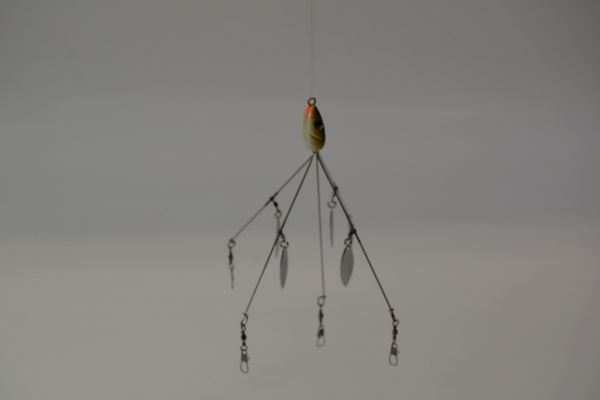 Dixie Custom Viper Rig