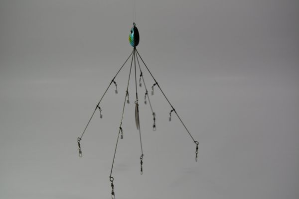 Dixie Custom Mega School Rig