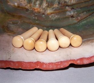 SET676 - Walrus Ivory Bridge Pins - Blank - Size 1.3 - Fits Gibson
