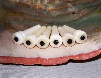 SET678 - Bone Bridge Pins - Black Dots - Authentic Martin Size