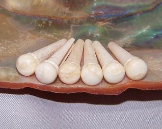 Fossilized Walrus Ivory Bridge Pins - No Dot