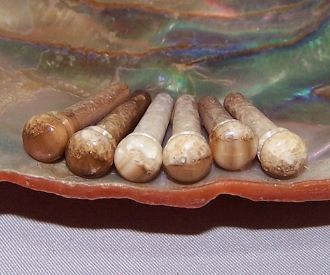 Prem. Dark Fossilized Walrus Bridge Pins - NO Dot