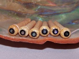 Fossilized Walrus Bridge Pins - Double Dots