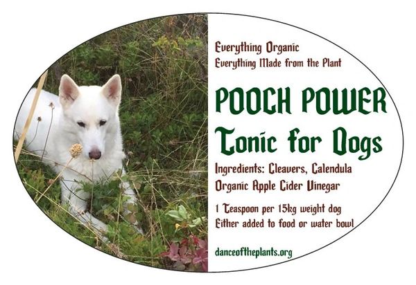 Pooch Power Dog Tonic