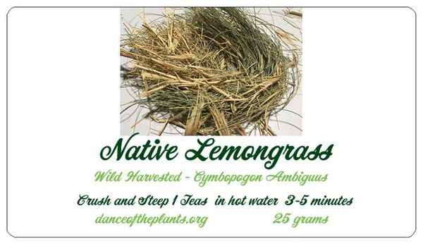Native Lemongrass