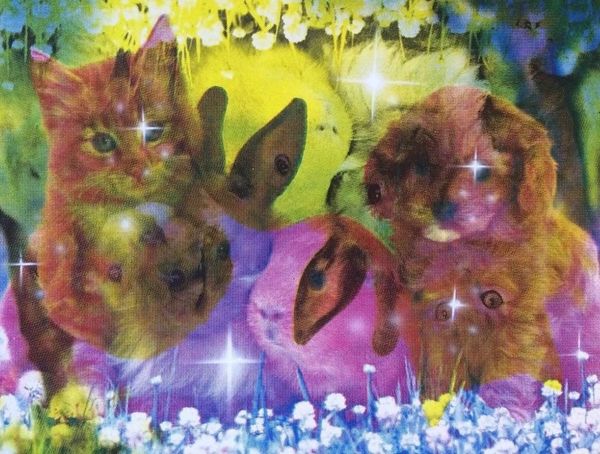 Tim Andrew: Still Life with Bunny, Puppy & Kittens