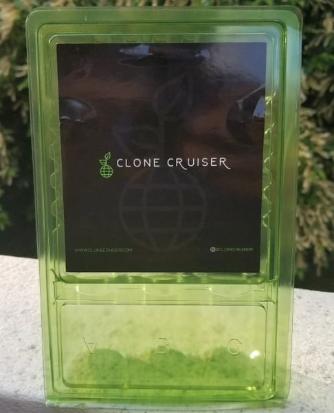 Clone Cruiser (10 Pack)