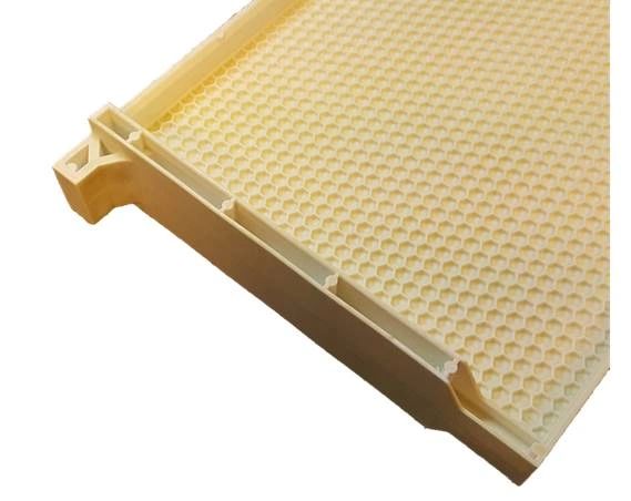 Case of Acorn Bee 6" Triple Waxed Frames (72)
