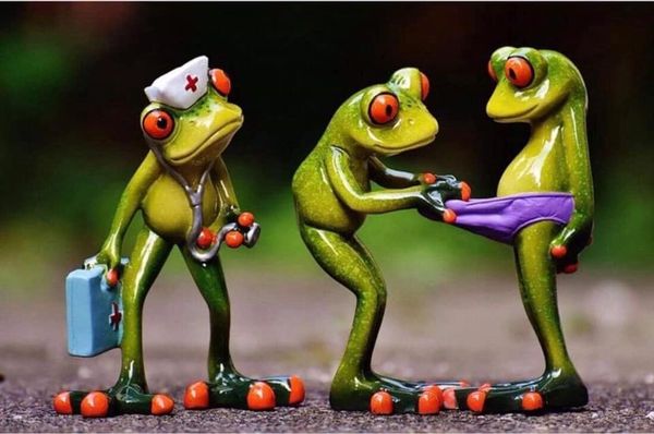 Humour de grenouille