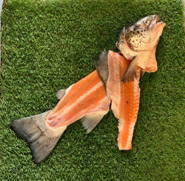 Salmon Heads and Frames