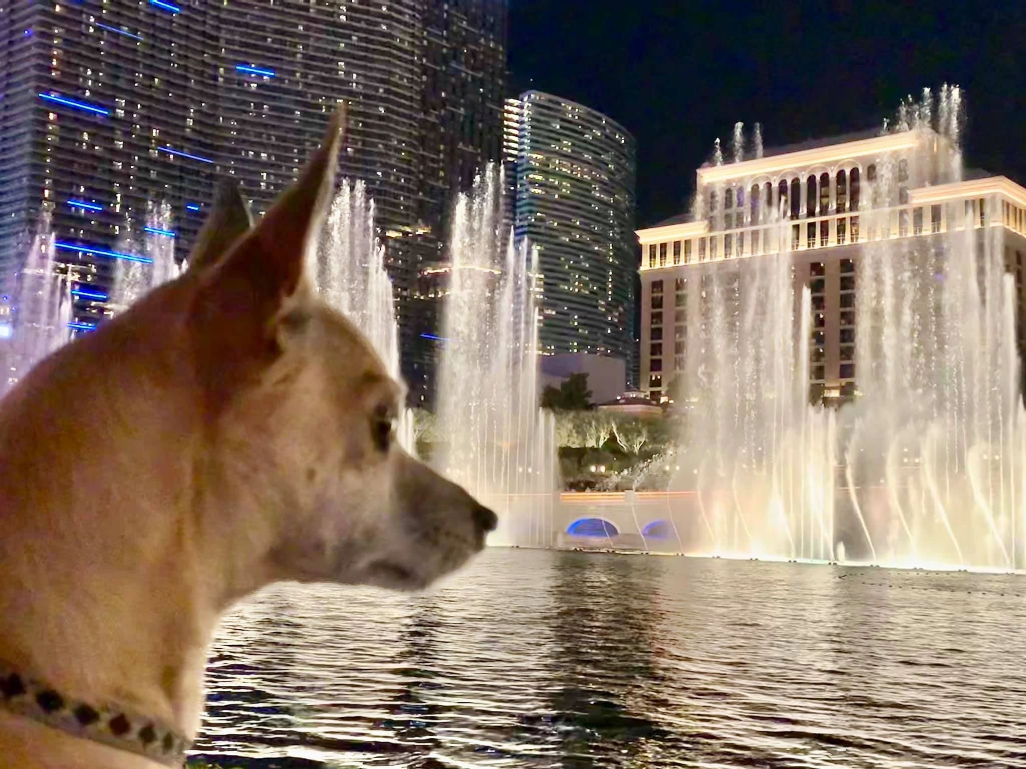 Ninth Island Connection