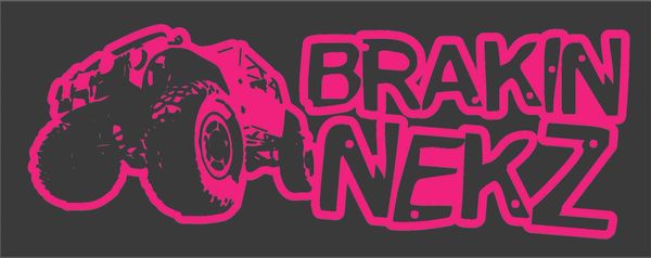 BREAKING NECKS Die Cut 4x4 window Decal