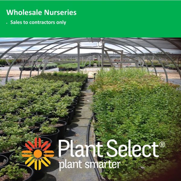 Plant Select® Wholesale Membership