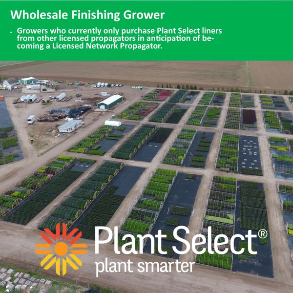 Plant Select® Wholesale Finishing Grower Membership