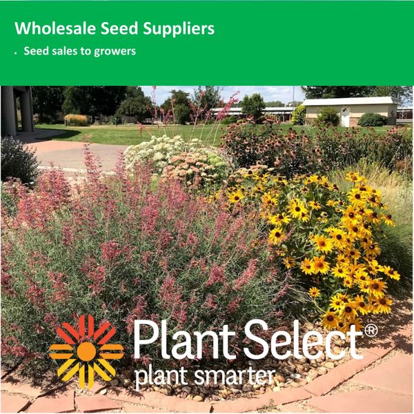 Plant Select® Wholesale Seed Supplier Membership