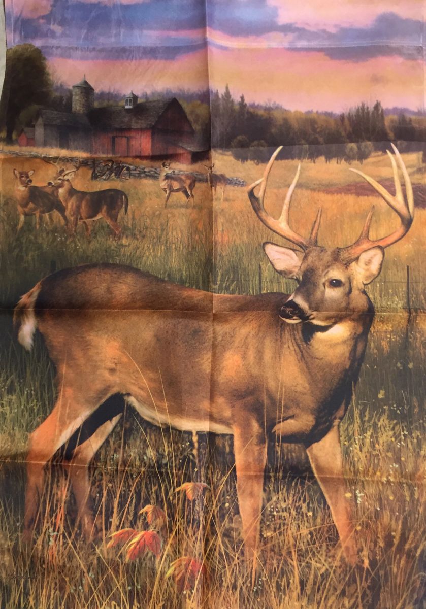 LARGE 1054-BUCK & BARN