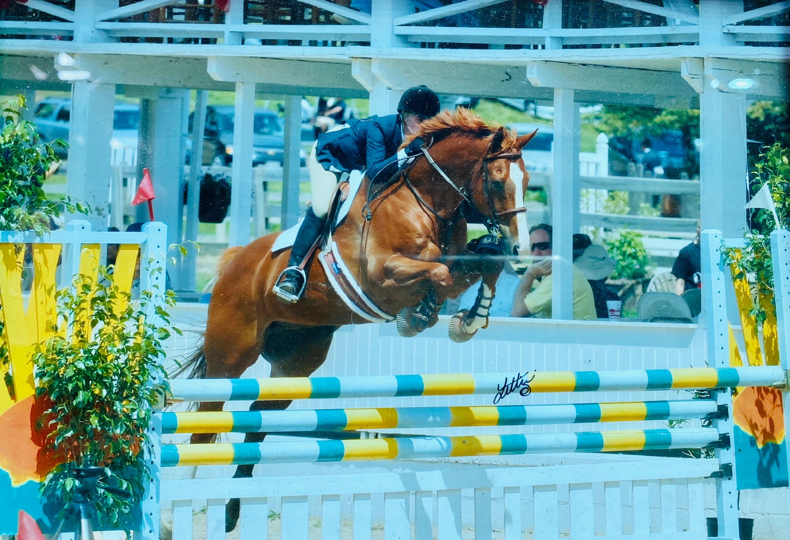 Monarch Equestrian Center