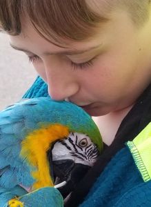 Parrot Hope | Parrot Hope Rescue