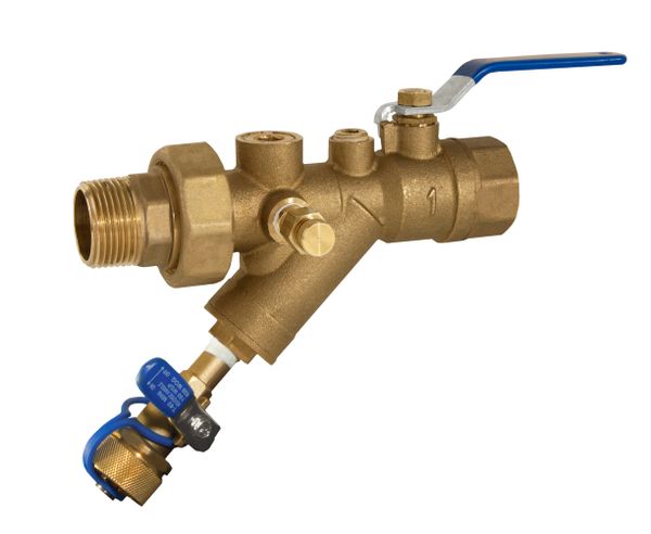2" Y-Pattern Combination Ball Valve Strainer W/ Blow Down Drain