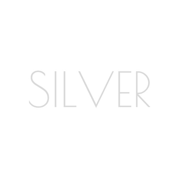 Silver Training + Kit for 10 Clients & 1 Light