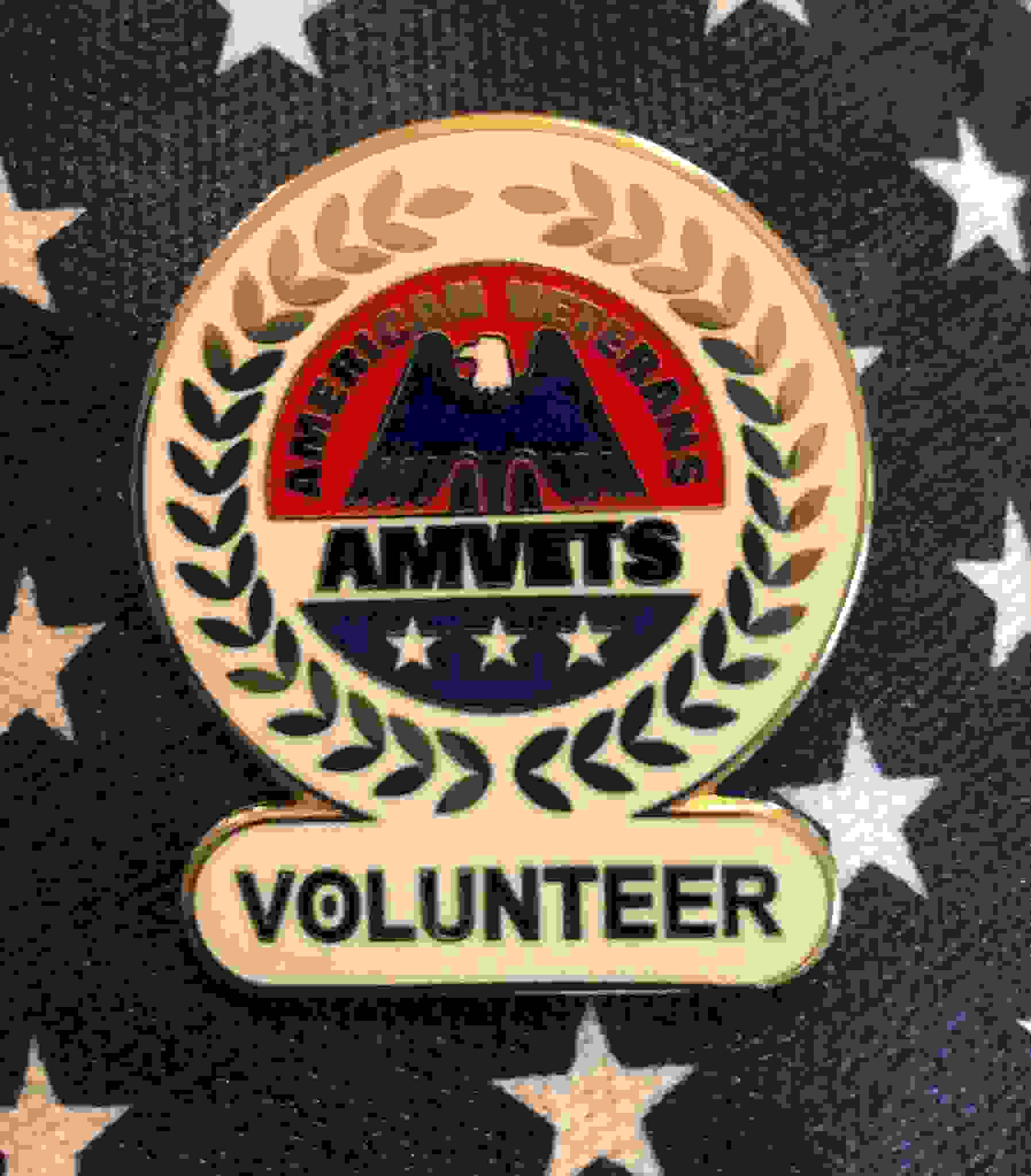 Veterans | AMVETS POST 81