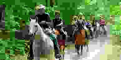 Equestrian Events | Circle E Guest Ranch, LLC