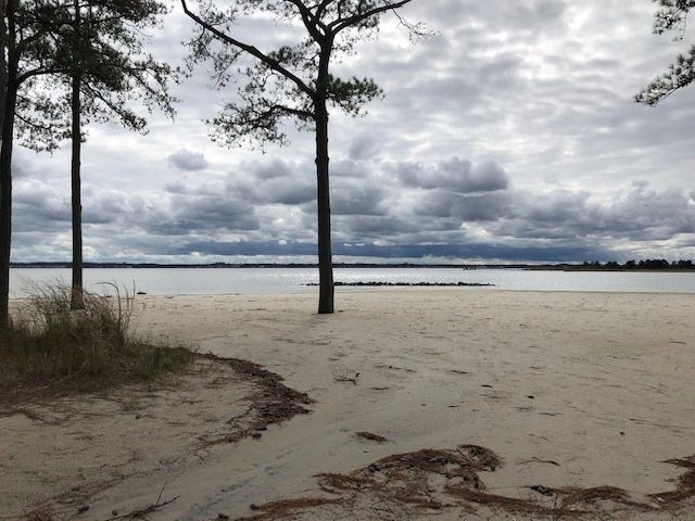 Downloads | Pot-Nets Home Owners Association