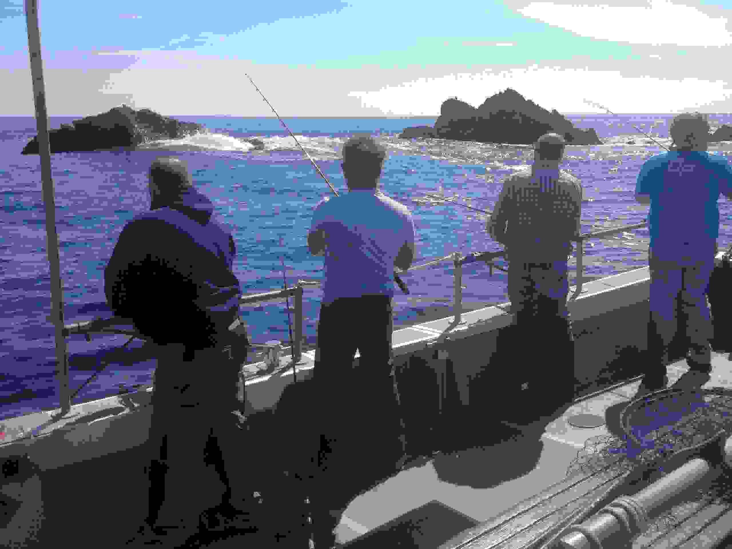 CORNISH FISHING - Falmouth Fishing Trips, Seawatch 1, Boat | CORNISH ...