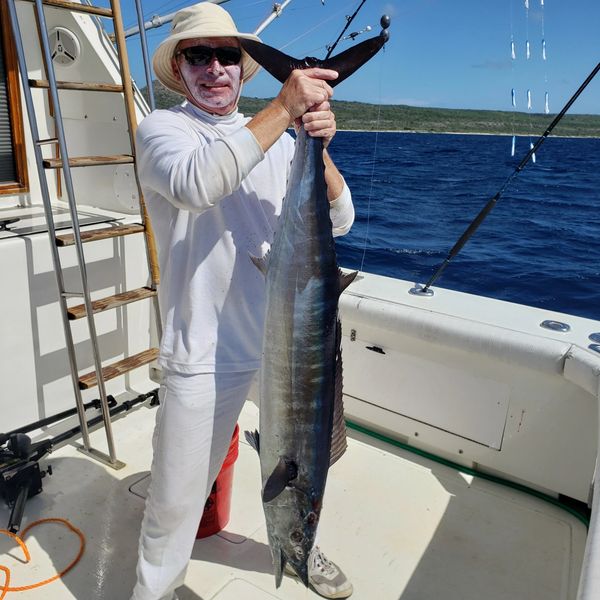 Fish Species - Flying Fish Charters, Bonaire