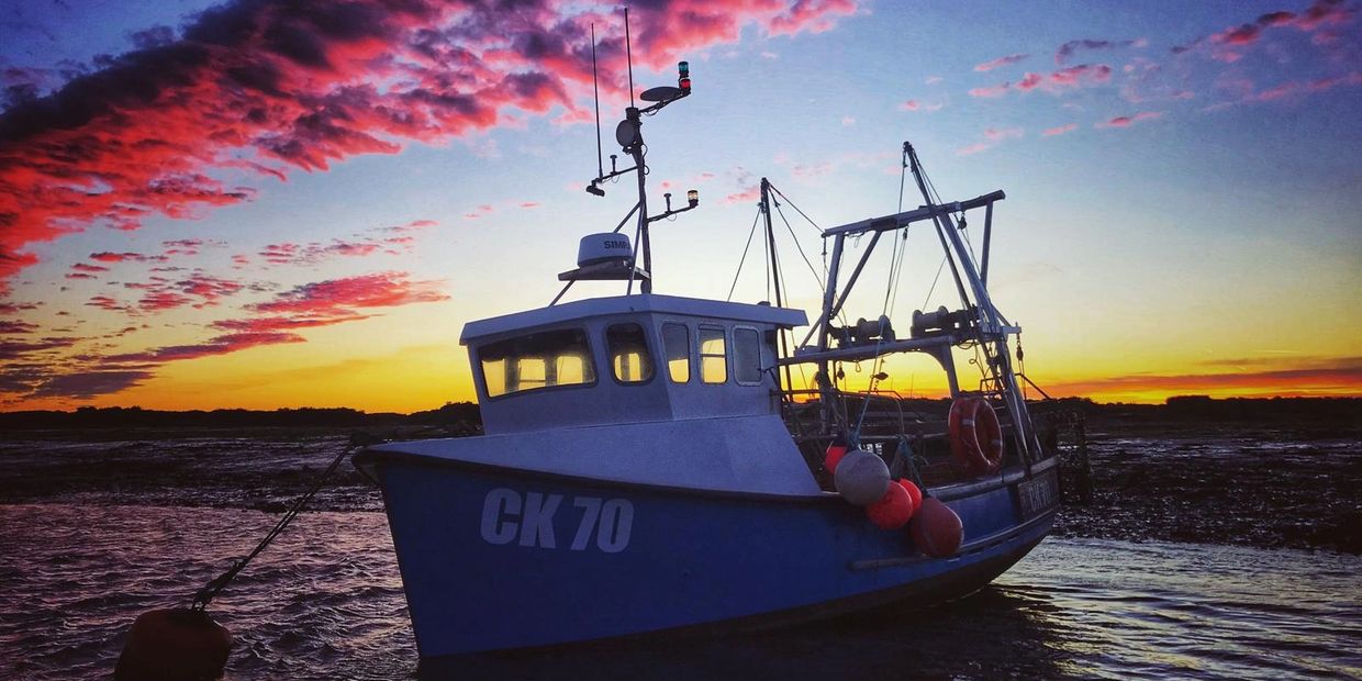 Mersea Island - Mersea Island Fish