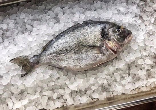 Sea Bream Fillets