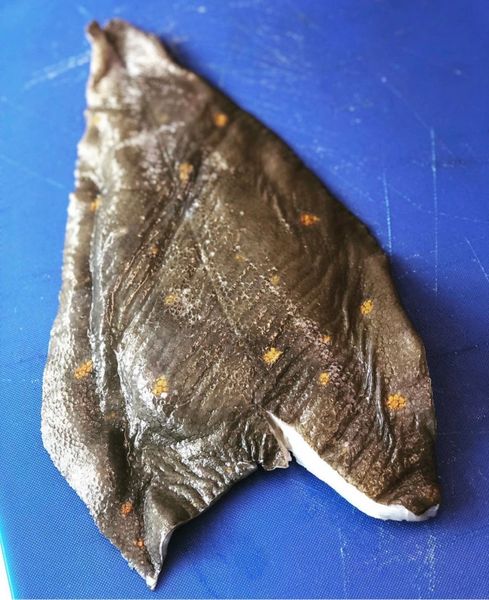 Plaice Fillets