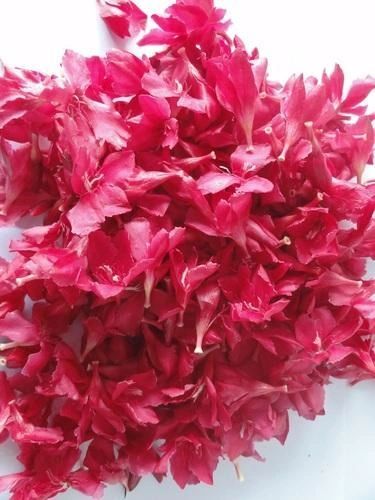 Arali/Ganneru - Red