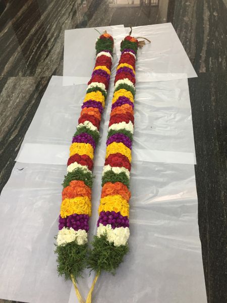 Button Rose (Andal Malai)