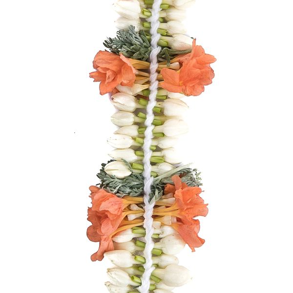 Jasmine, Kanakambaram, Marikolunthu mixed Kathambam 5ft.