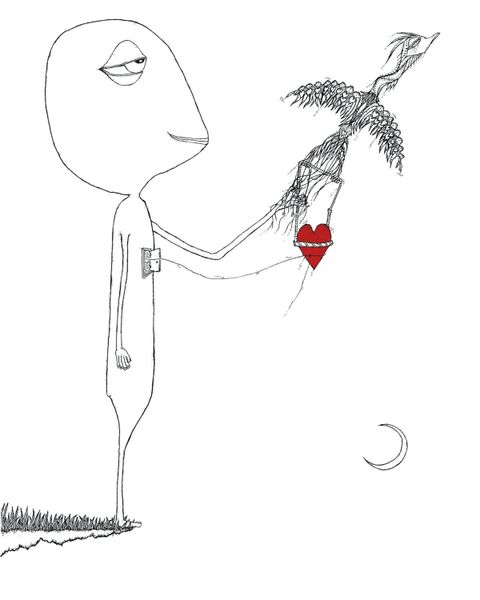 Seth Pitt "Messenger Bird"