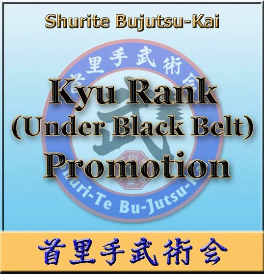 Kyu Level Promotion